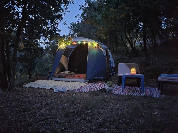 Dormir Ao Son Da Natureza - 토마르