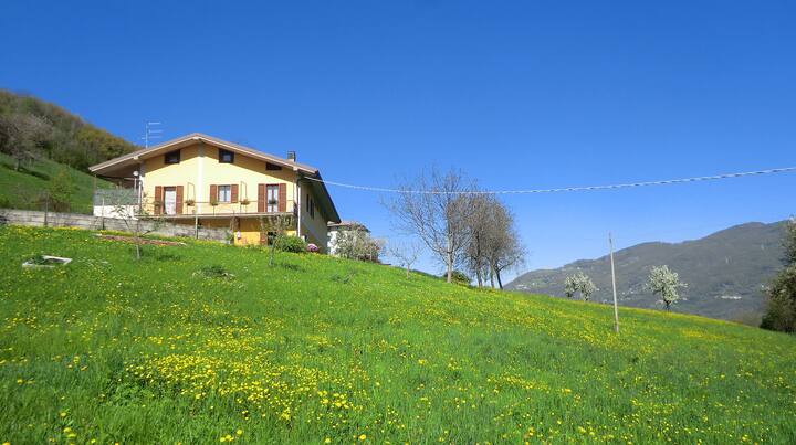 Casa Vacanze Immersa Nel Verde - Selvino