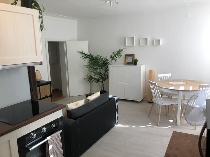 Appartement Hypercentre Colmar - Colmar
