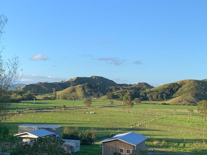 Haley's House - Tolaga Bay