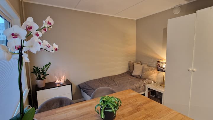 Modern Studio In City Center - Oslo