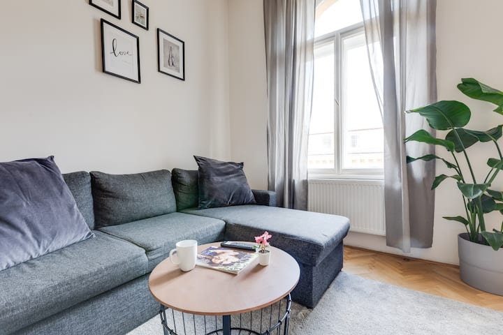 New & Cozy 3bds In Historical Center - S8 - Praga