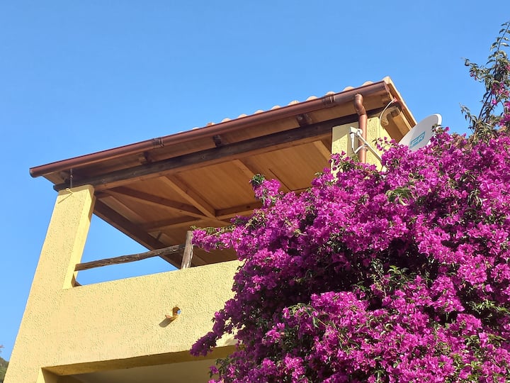Alessandro&dina's House - Costa Rei