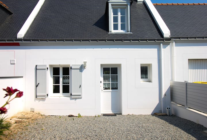Le Nid Du Goéland Gris - Groix