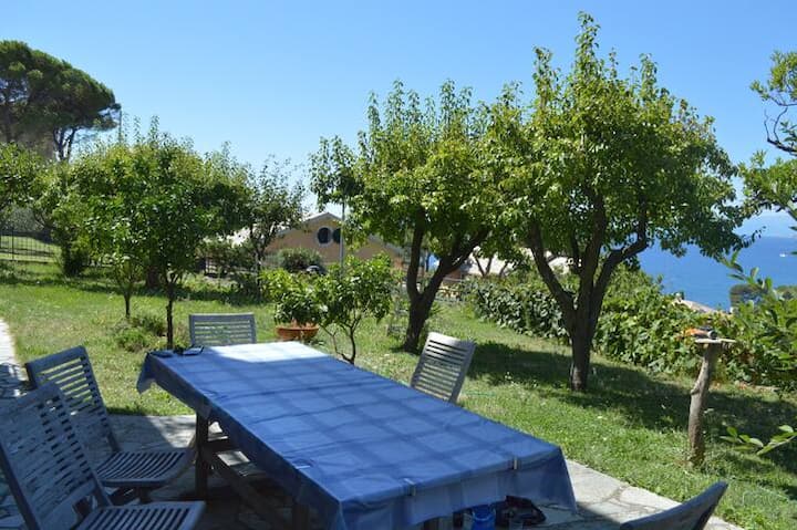 Paradiso Con Giardino Vista Mare - Camogli