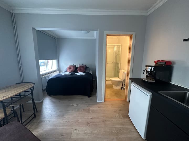 Down Town Studio Apartment - Reikiavik