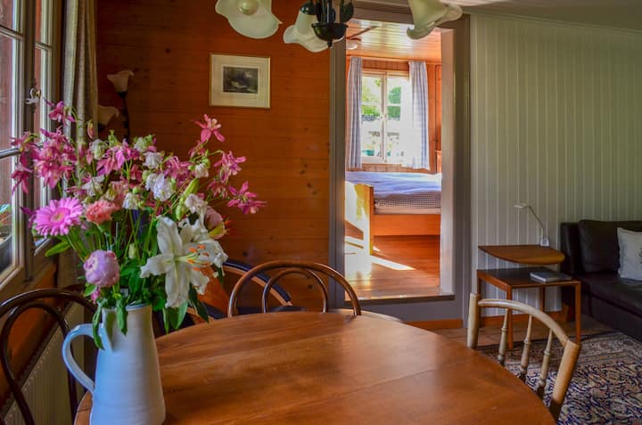 Gemütliche Parterrewohnung - Meiringen