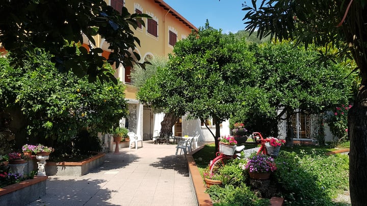 Orchidea Gialla: Oasis Of Relax - Noli