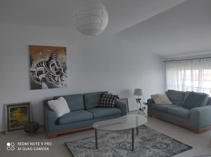 Lefterov Yellow Arlekin - Kiten