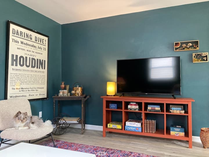 Pet Friendly Classic Shotgun - 렉싱턴