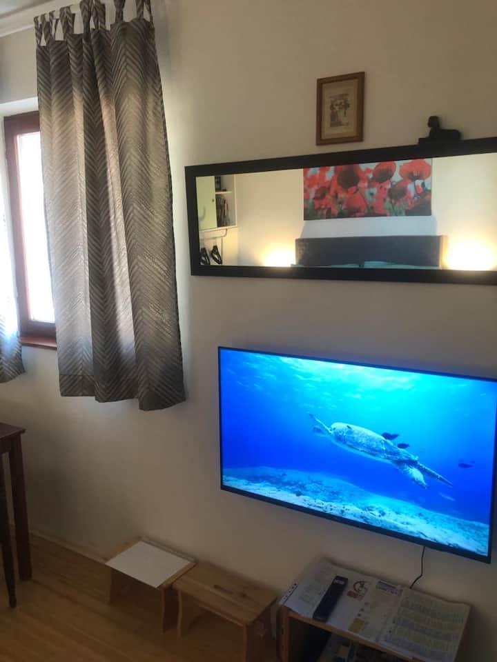 Studio Apartment Sfinga - Seget Vranjica
