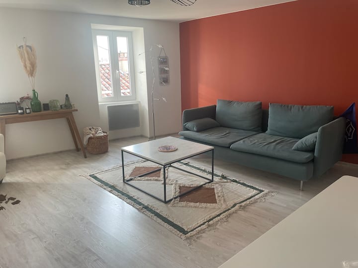 Appartement T3 ÉCusson Castres - Castres