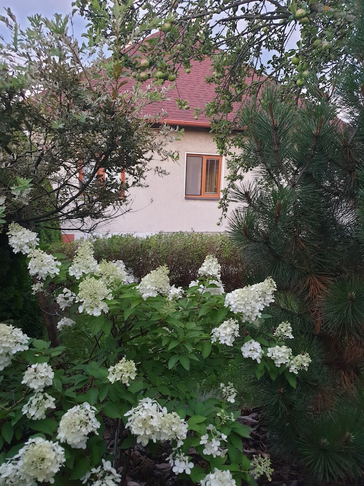 Lemadin 3 - Liptovský Mikuláš