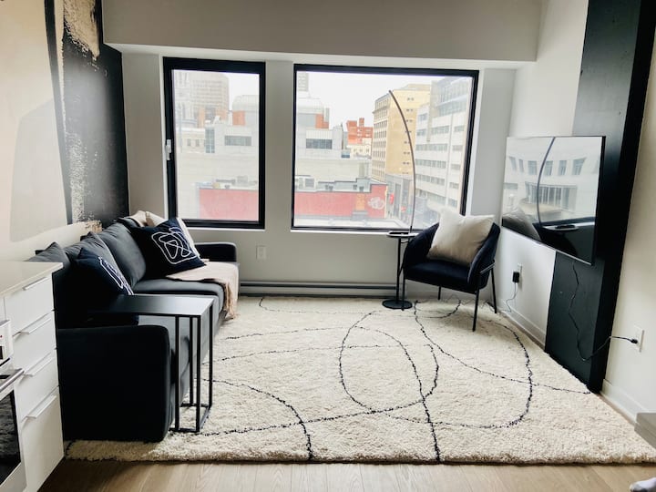 Appart 1 Chambre - Centre Ville - Concordia University