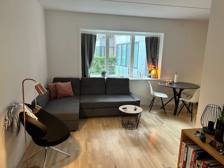 Nice Apartment With Terrace - Copenhagen