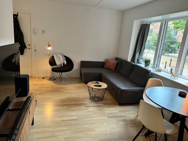 Nice Apartment With Terrace - Copenhagen