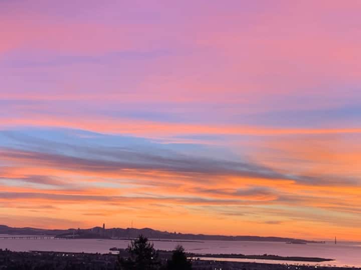 Berkeley Hills Splendor! - Berkeley, CA