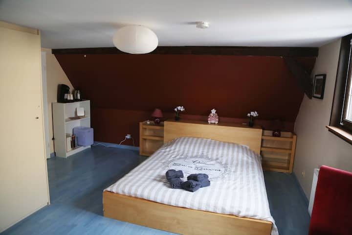 Chambre Typique Dans Maison Alsacienne 1 - Schiltigheim