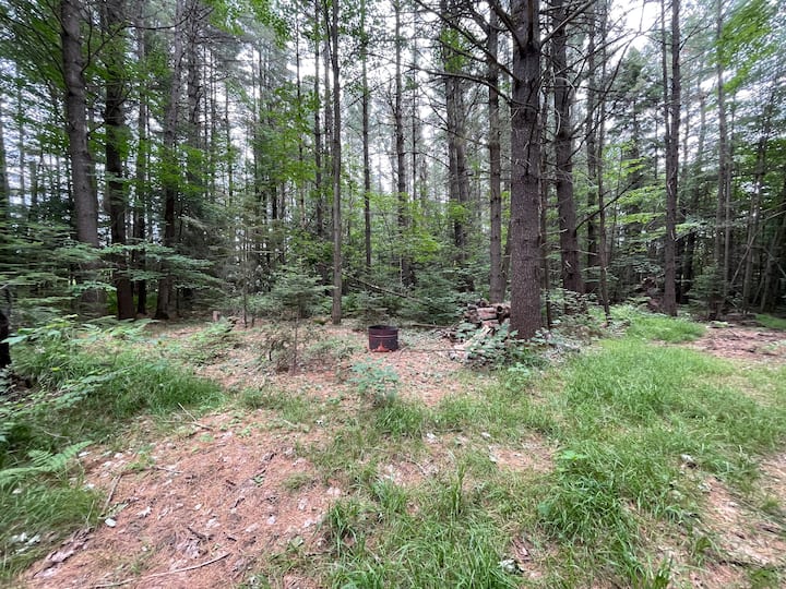 True Camping In Nature. - Bracebridge