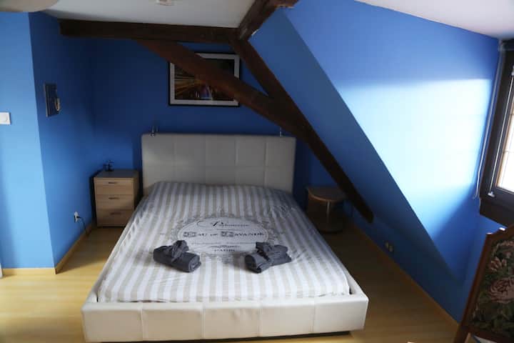 Chambre Typique Dans Maison Alsacienne 2 - Schiltigheim