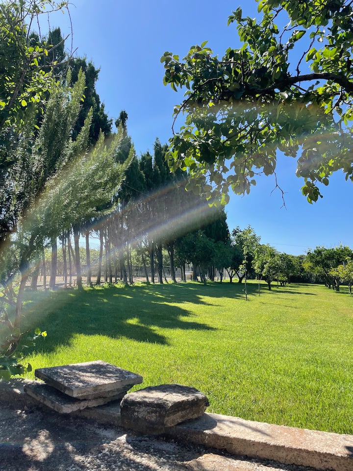 Appartamento Annarosa - Porto Torres