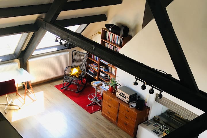 Light-filled Bird's Nest - Ghent (Belgium)
