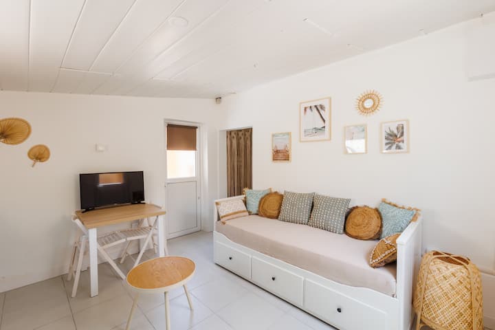 Beau T2 Plein Pied  Presqu'île Giens 4p,300m Plage - Île de Porquerolles