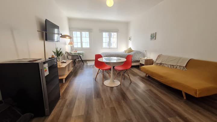 Super Central; Cálido Y Acogedor! - Santiago, Chile