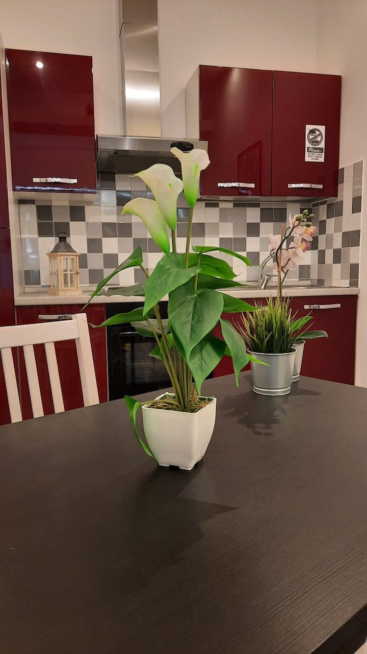 Your Apartment In Rome - Roma