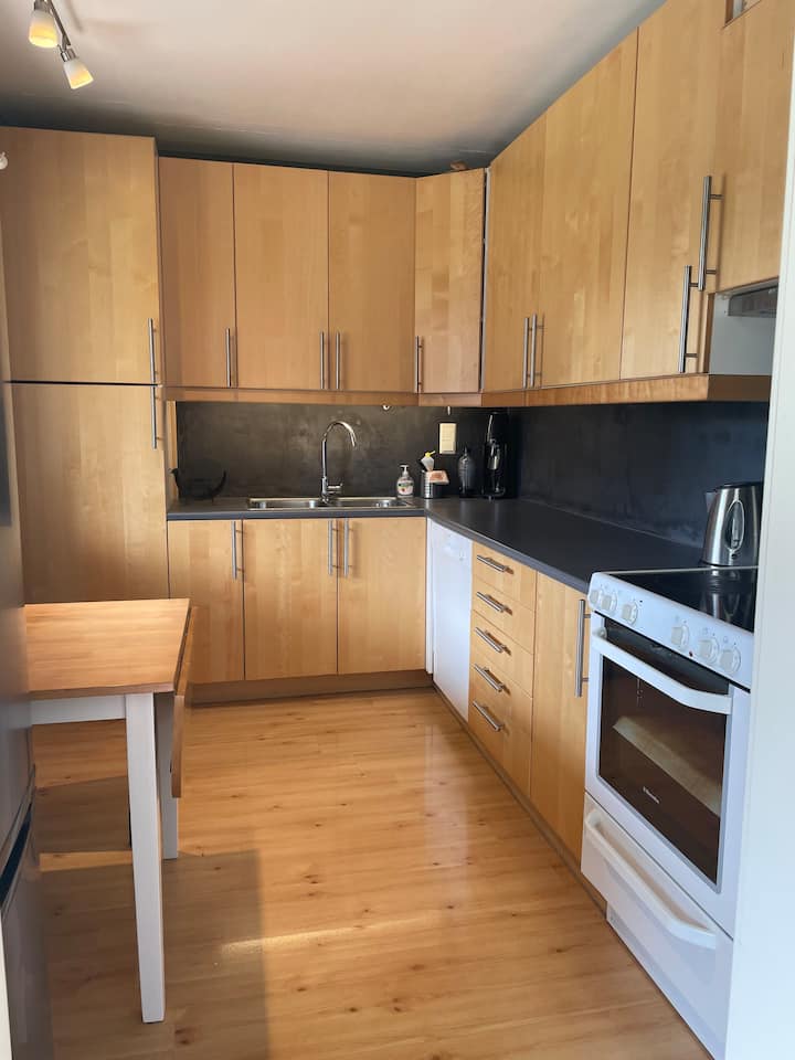 Sentral Og Romslig Leilighet - Trondheim