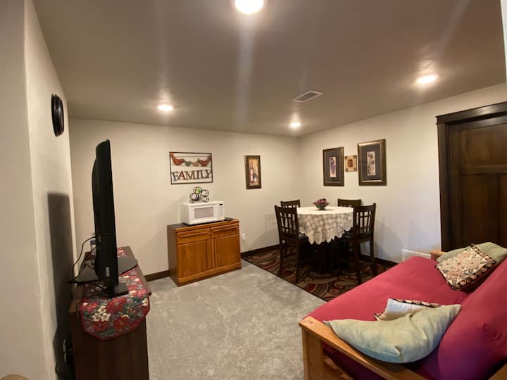 New Condo Lower Level. - Appleton, WI