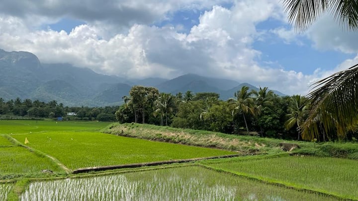 A Sanctuary In The Countryside. - Courtallam