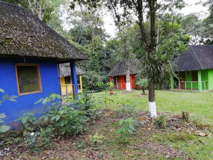Finca 2 Potrillos - Córdoba
