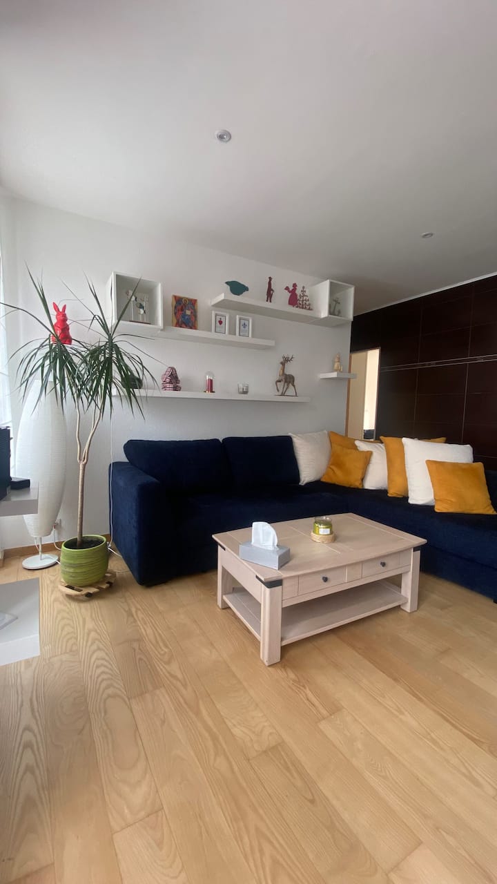 2 Chambres 2 Lits Doubles-colmar - 科爾馬