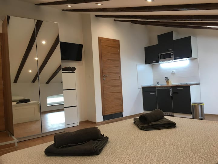 Apartment In The Heart Of Pula 5 - Pula