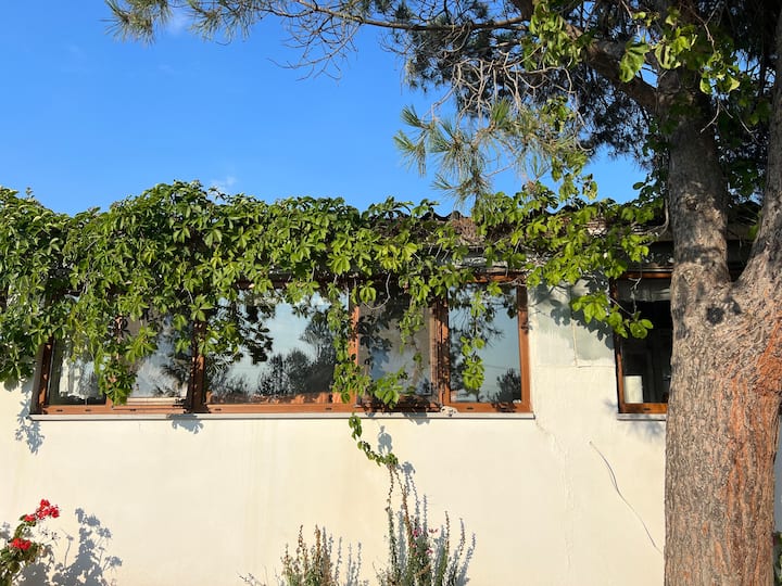 Bozcaada’da Bir Köy Evi - Bozcaada