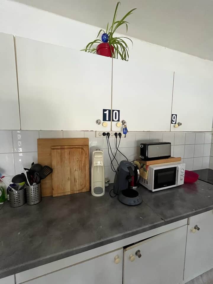 Ch N° 8 / Chambre Dans Un Pavillon - Marne-la-Vallée