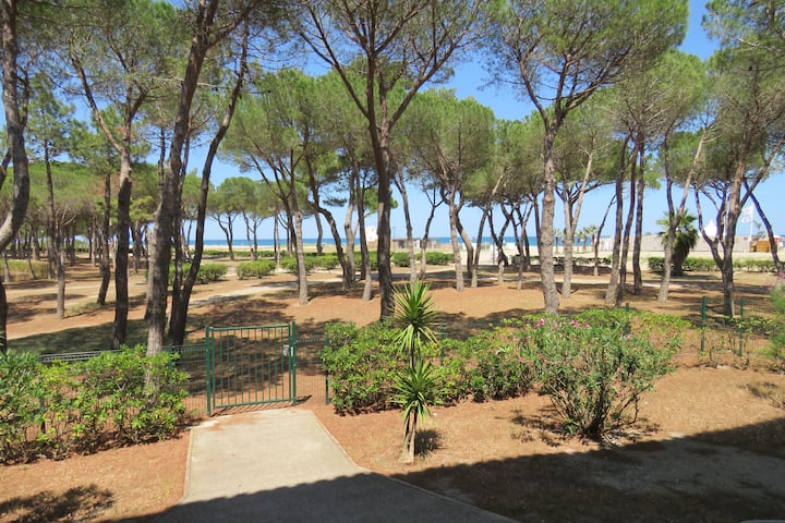 Studio Vue Mer, Direct Plage - Argelès-sur-Mer