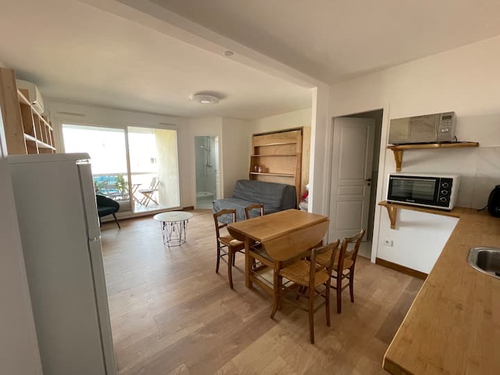 Aiguerelles Studio 30m2 2lits Parking Gratuit - Montpellier