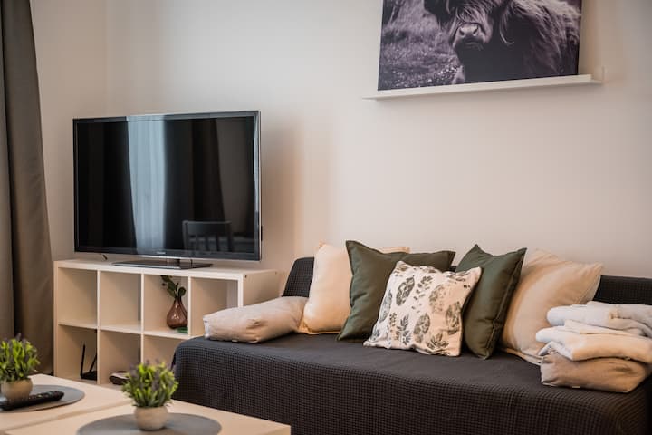 Krakowska Apartment Wawelofts - Krakova