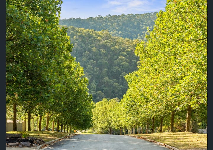 Aryan & Meera's Alpine Home - Mount Buller