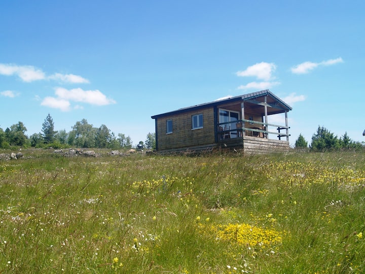 Chalet Hêtre 2 Chambres En Pleine Nature - Saint-Sauveur-Camprieu