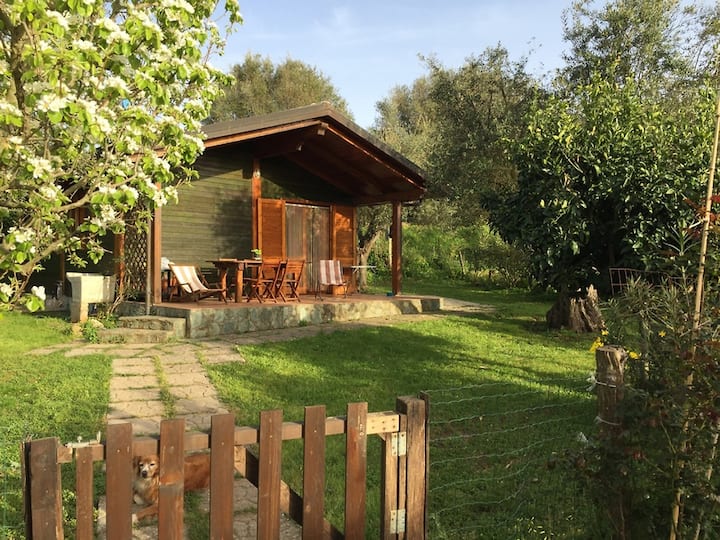 Chalet Sole - Calabria