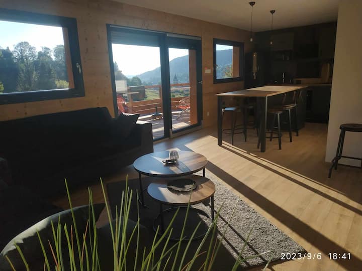 Vv Chalet Des Oiseaux Vv Neuf Et à 2 Pas Du Centre - Gérardmer
