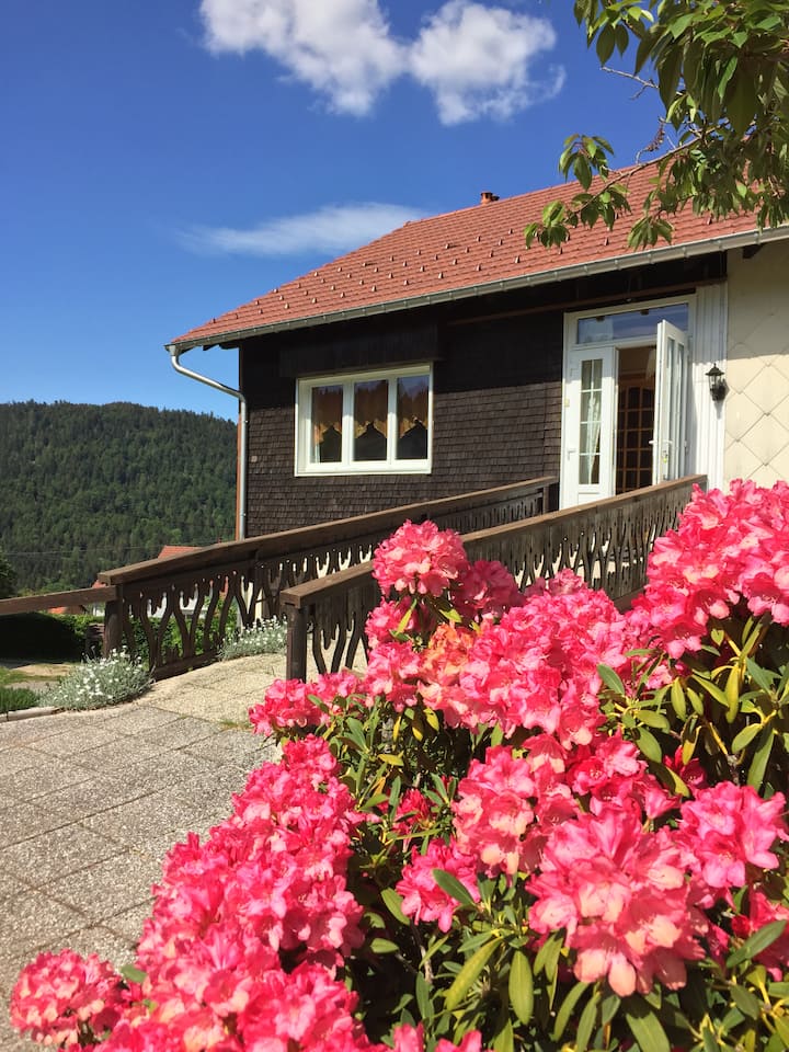 Gîte 3*, Calme, Confort, Terrasse, Grand Terrain - Xonrupt-Longemer