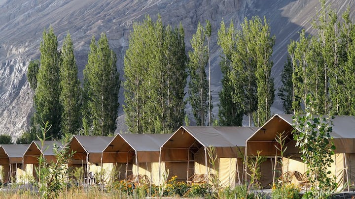 Highland Desert Camp - Nubra Valley