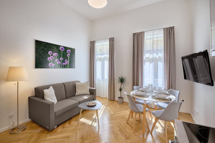 New Spacious 2 Bedroom Apartment - Prag