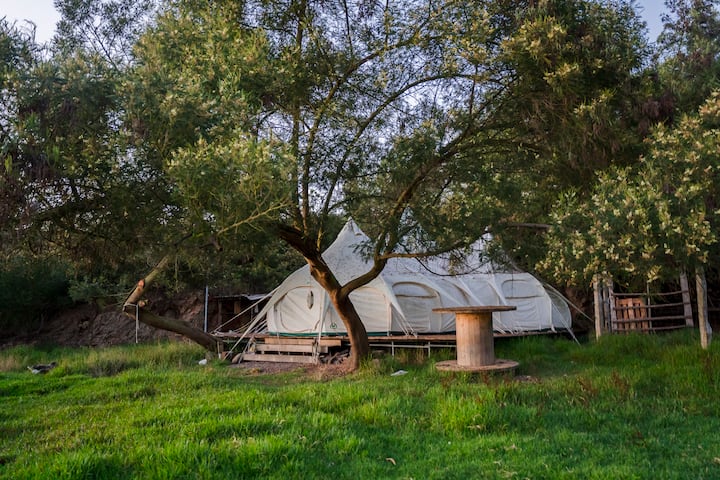 Arambha Ecovillage Farm Tent 2 - Madeira