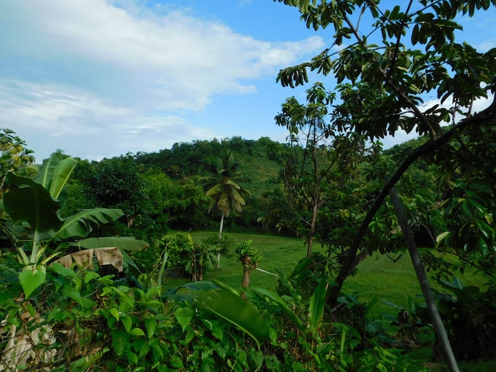 Casa Verde Of Ladera Retreat - Fajardo