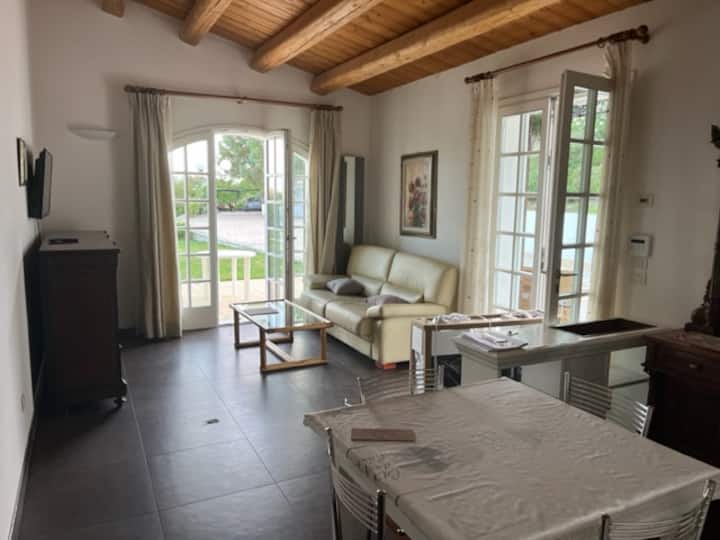 Seeconero Home - Ancona
